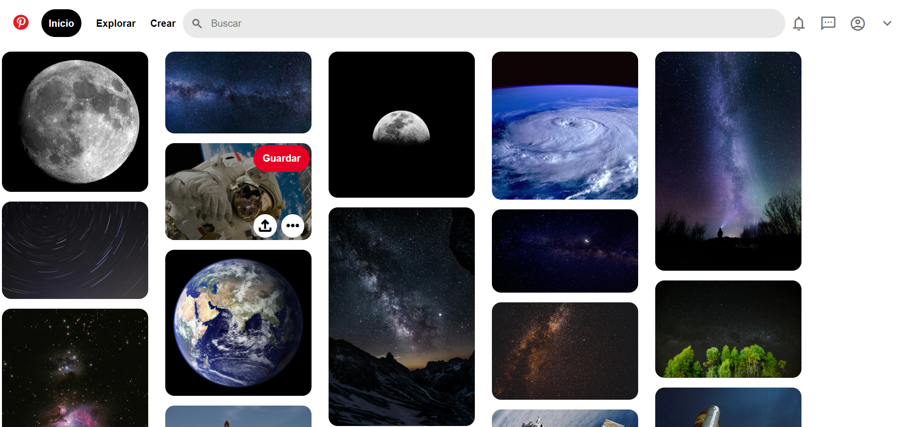 Liliana Martin Portfolio